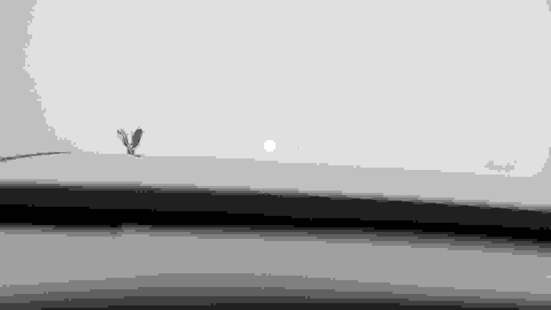 Used 2015 Rolls-Royce Wraith V12 £POA 35,000 miles Two-Tone English ...